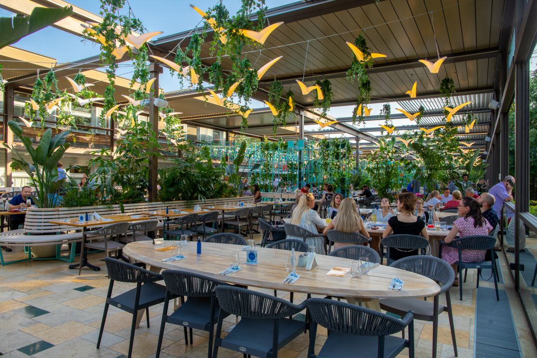 Pescobar Sushi & More, București - Rezervă o masă online - Restaurant ...